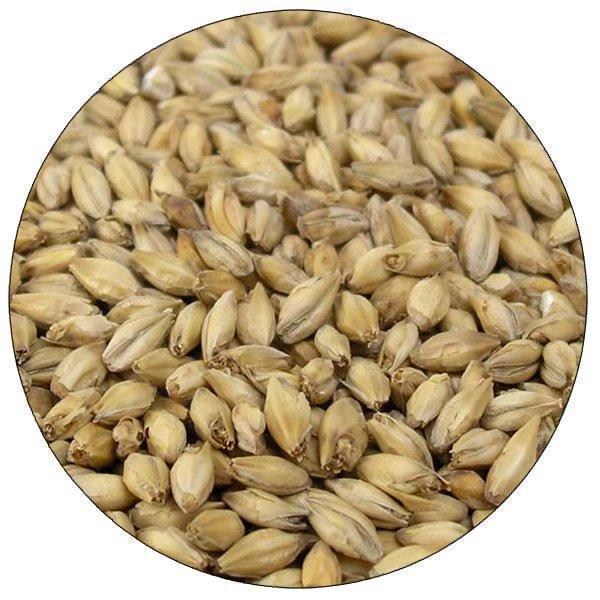 Distillers Grains & Malt