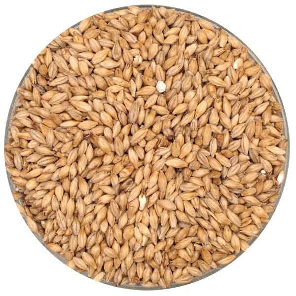 MCM Pilsner Malt - Montana Craft Malt