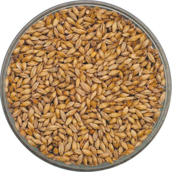 Best Malz German Pilsen Malt