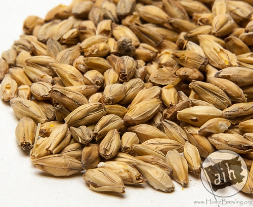 6 Row Malt Brewing Grains - 1 Pound Beer Grains