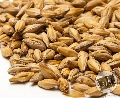 Belgian Pilsner Brewing Grains - 1 Pound Beer Grains