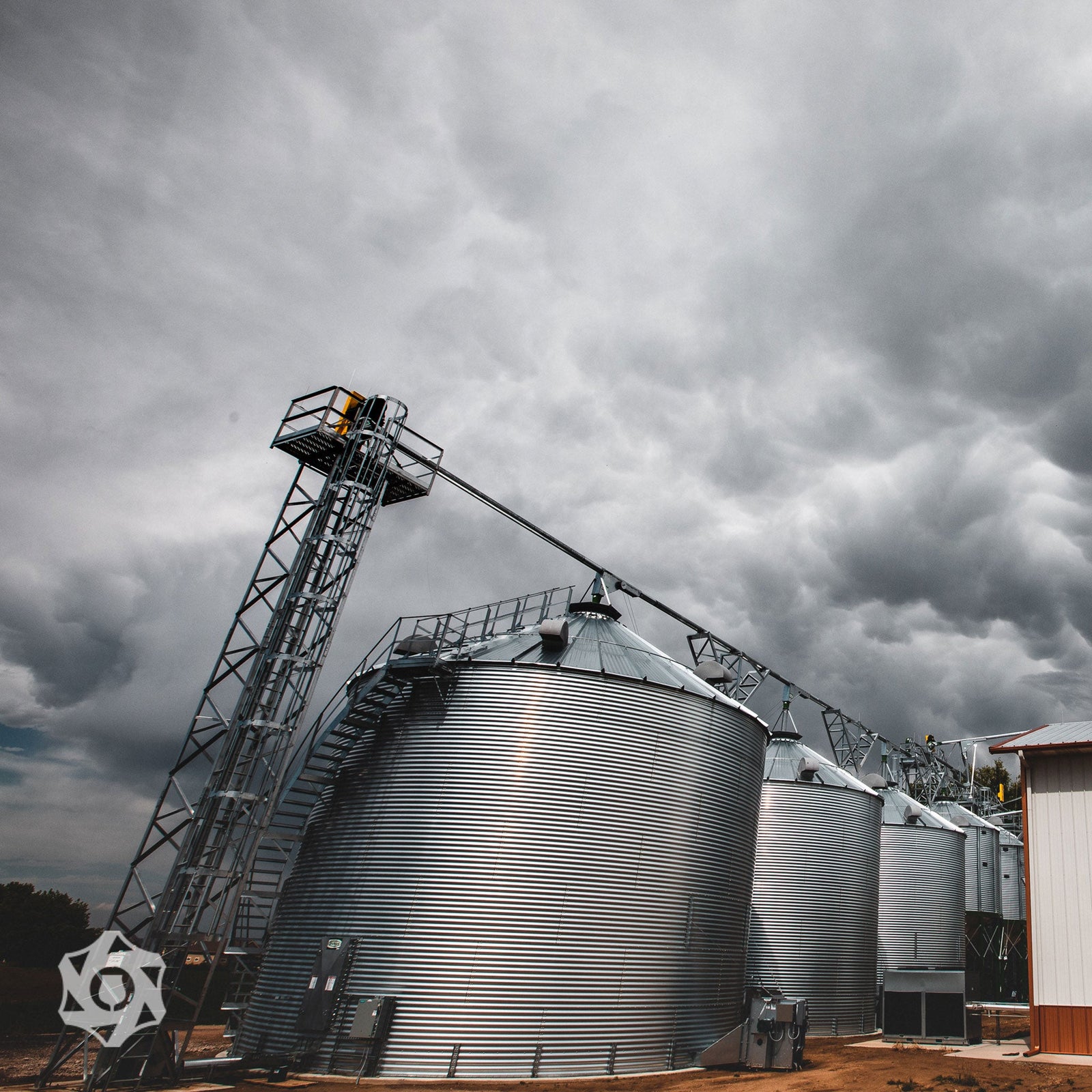 Olandsvete Wheat Malt 50lb Bag - Root Shoot Malting