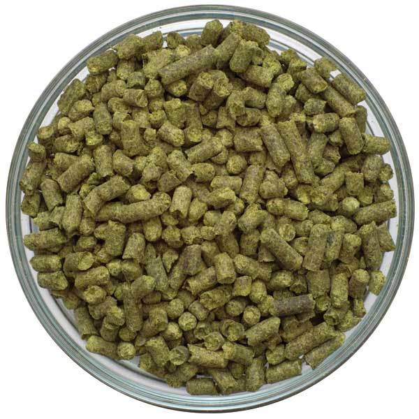 Goldings Hops Pellets - 1 oz